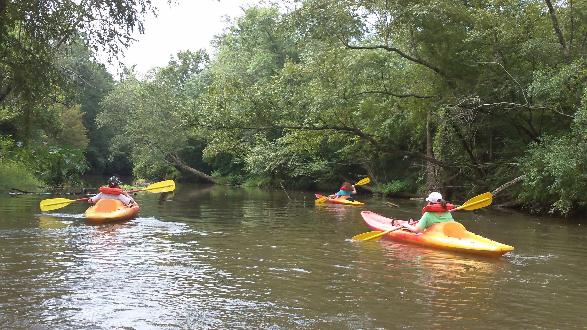 Local Attractions - Clarke County, Mississippi